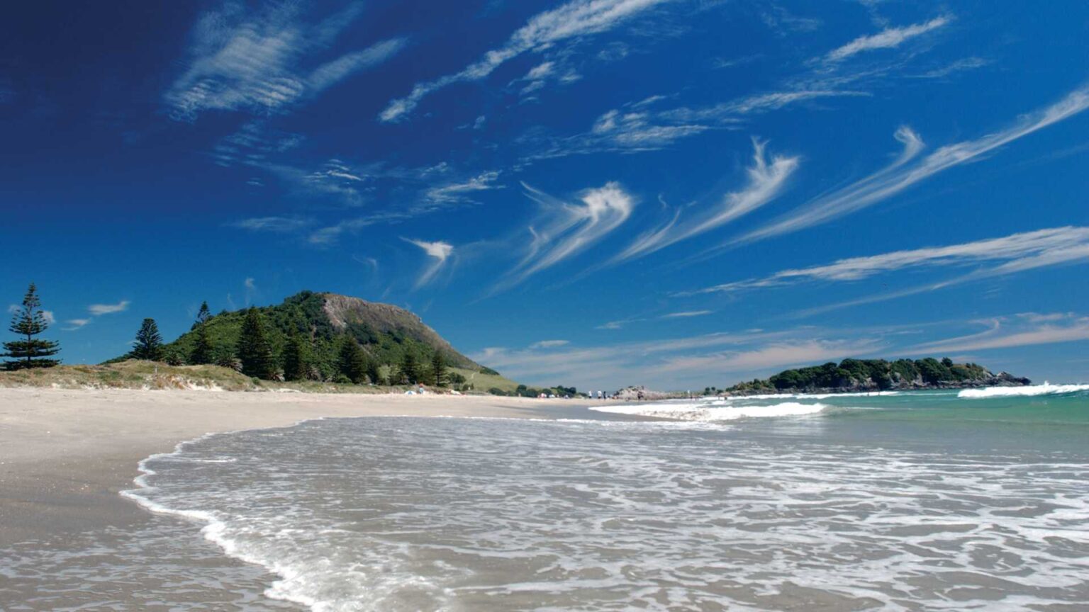 Contact Us - Ice Electrical